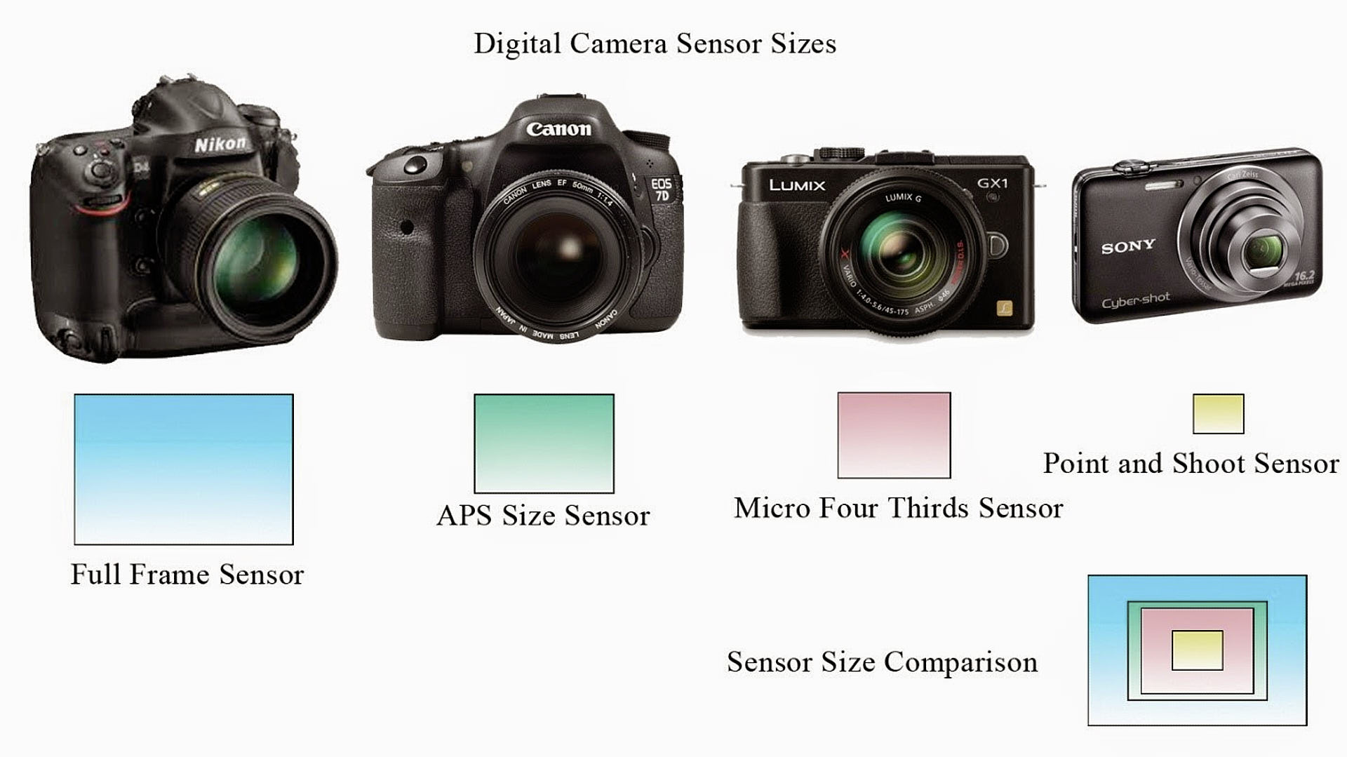 digital camera sensor sizes → Capturing Language and Photos